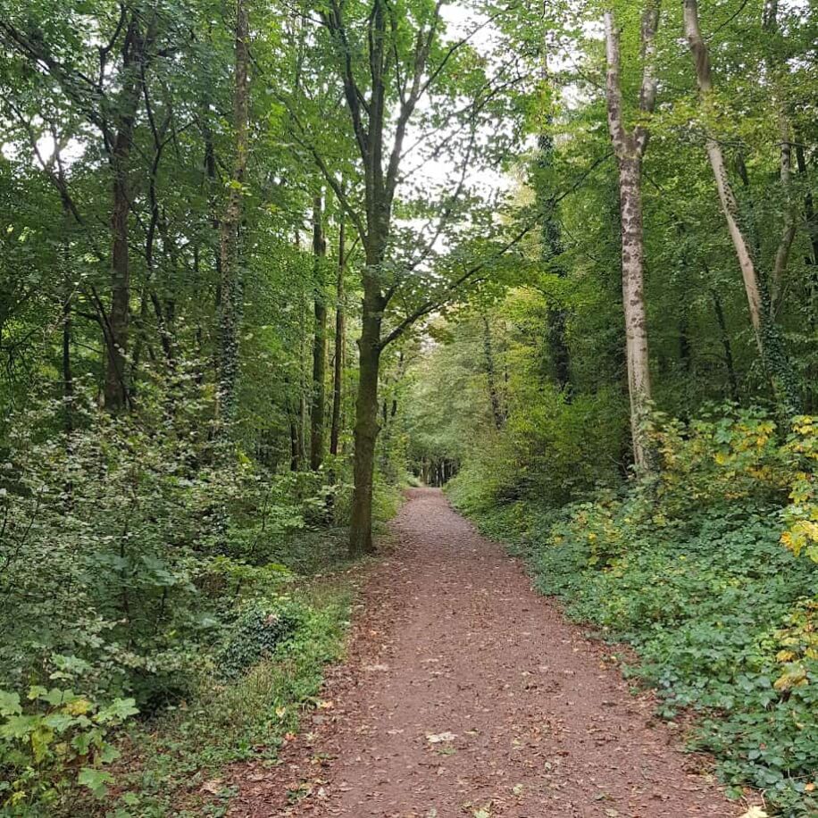 The Taff Trail - cycle it, walk it, explore it